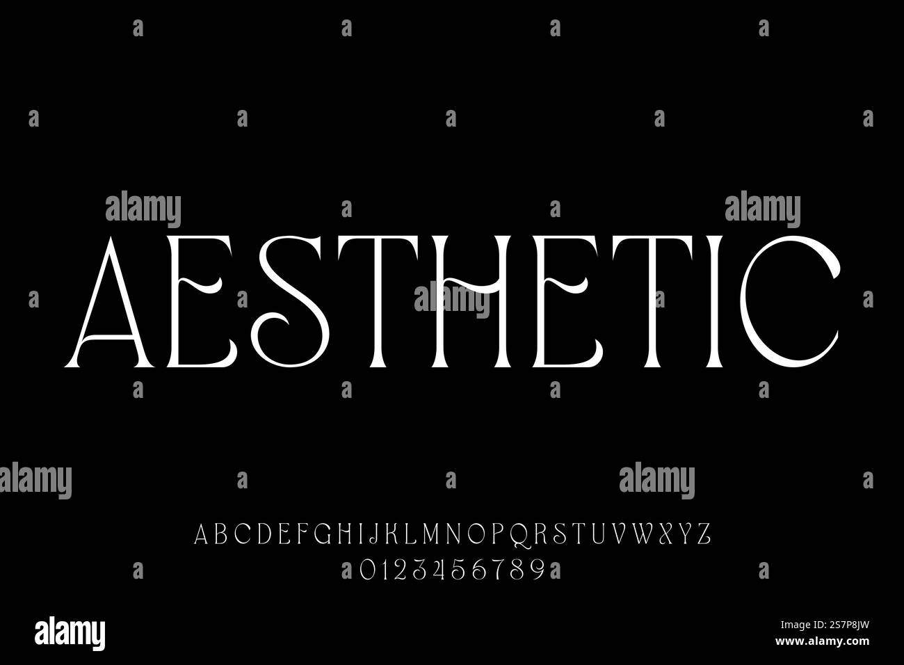 Aesthetic minimalist typeface display font vector. Thin luxury natural ...