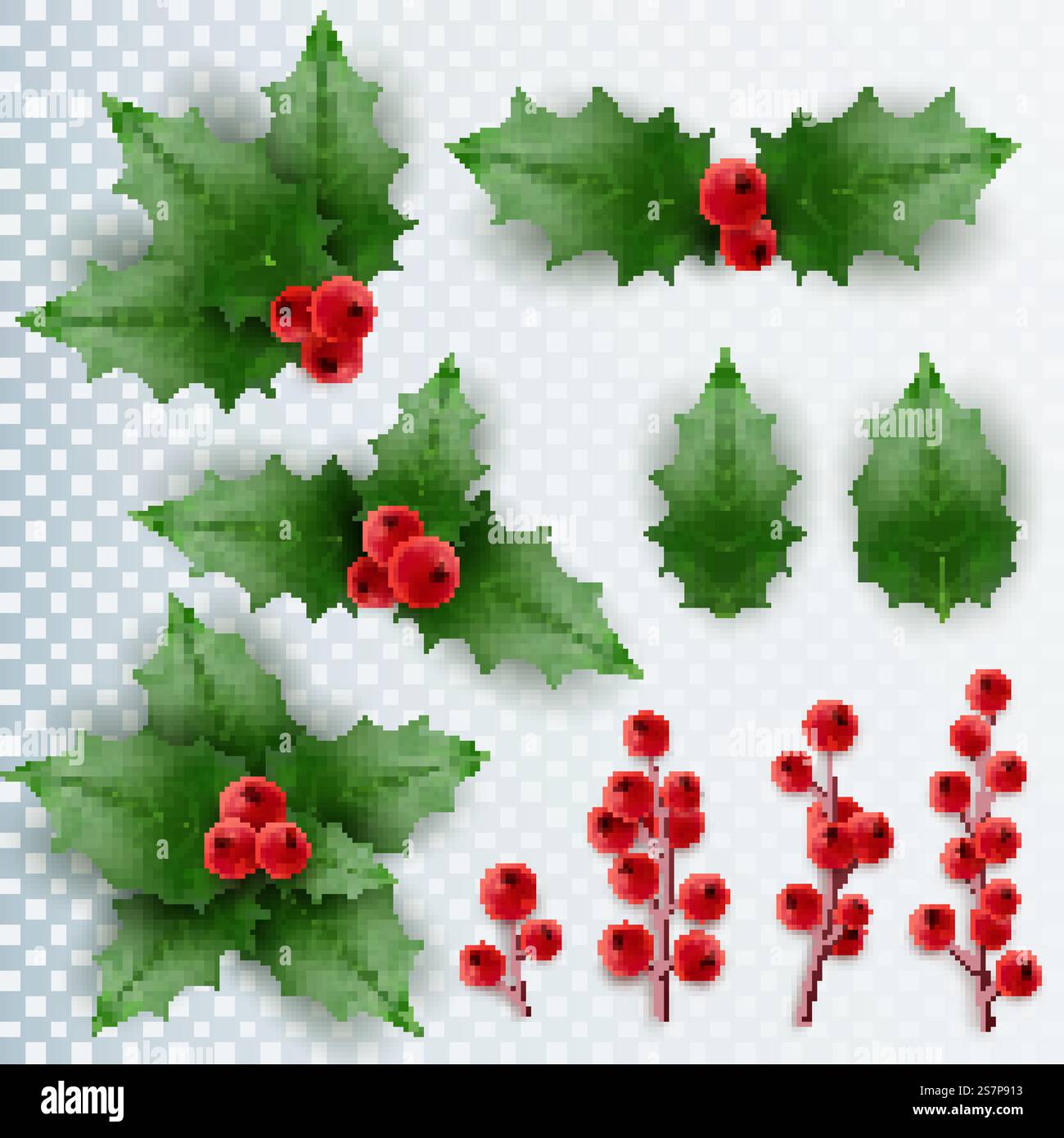 Christmas holly with leaves and berries. Realistic Christmas ...