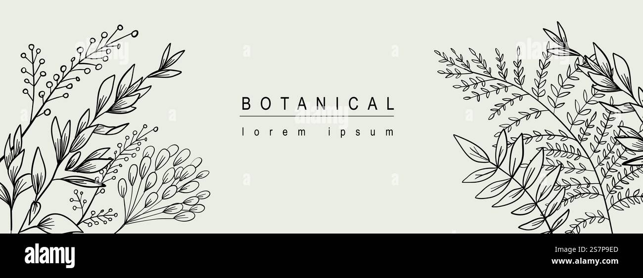 Botanical abstract background with floral line art design. Horizontal ...