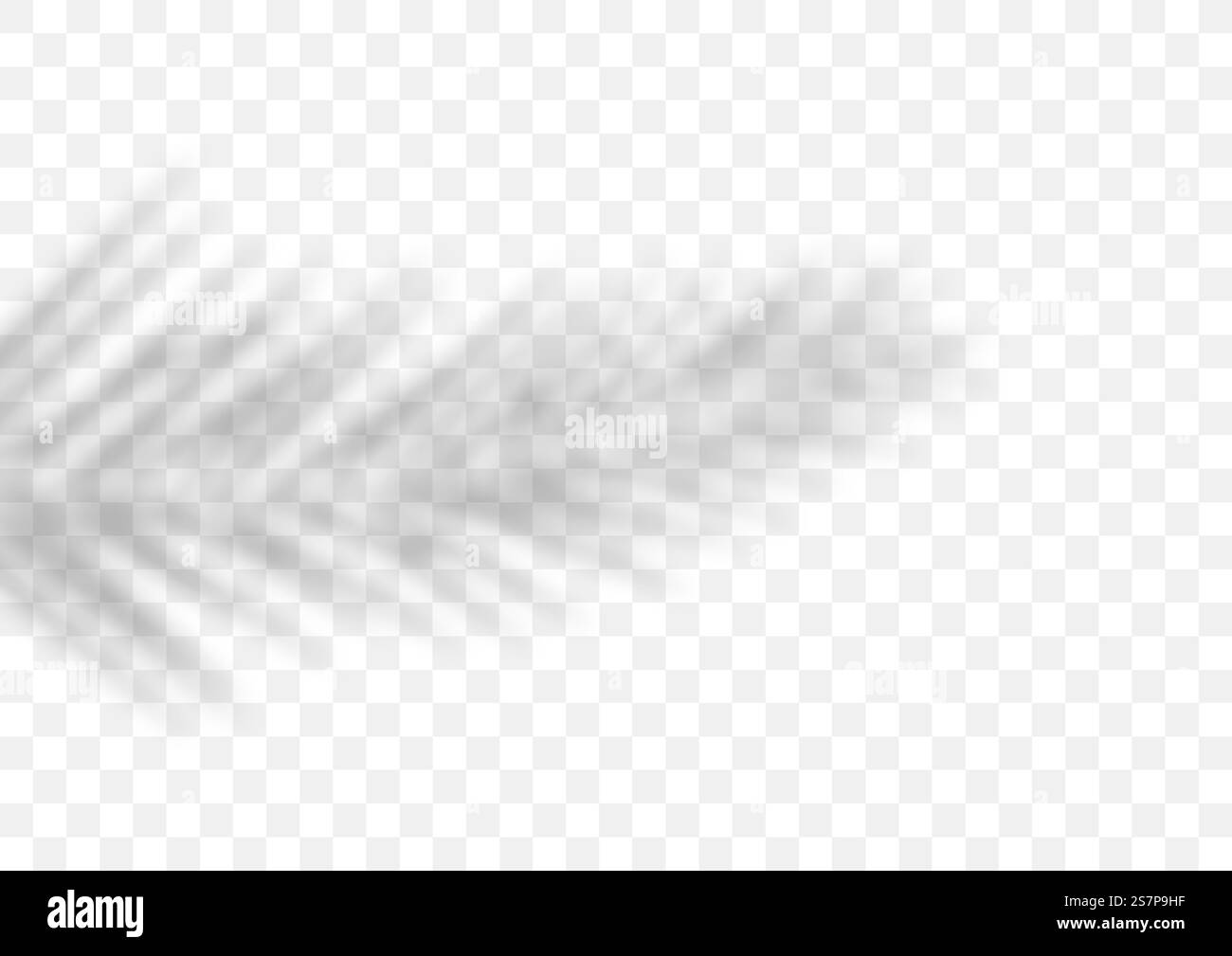 Palm leaf shadow. Vector shadow overlay effect. Vector illustration ...