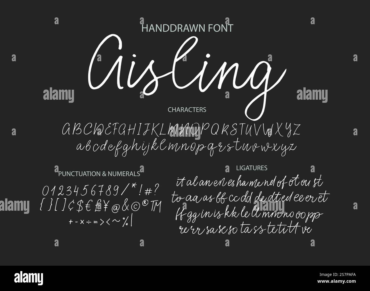 Handrawn vector alphabet. Modern calligraphic font. Brush painted abc ...