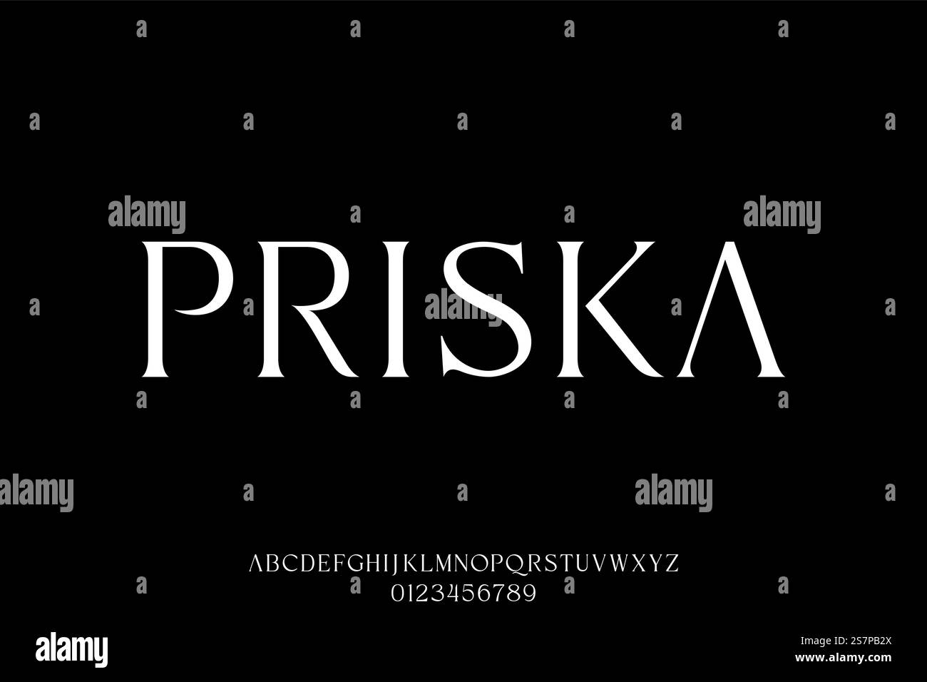 Modern fancy and elegant serif display font vector Stock Vector Image ...