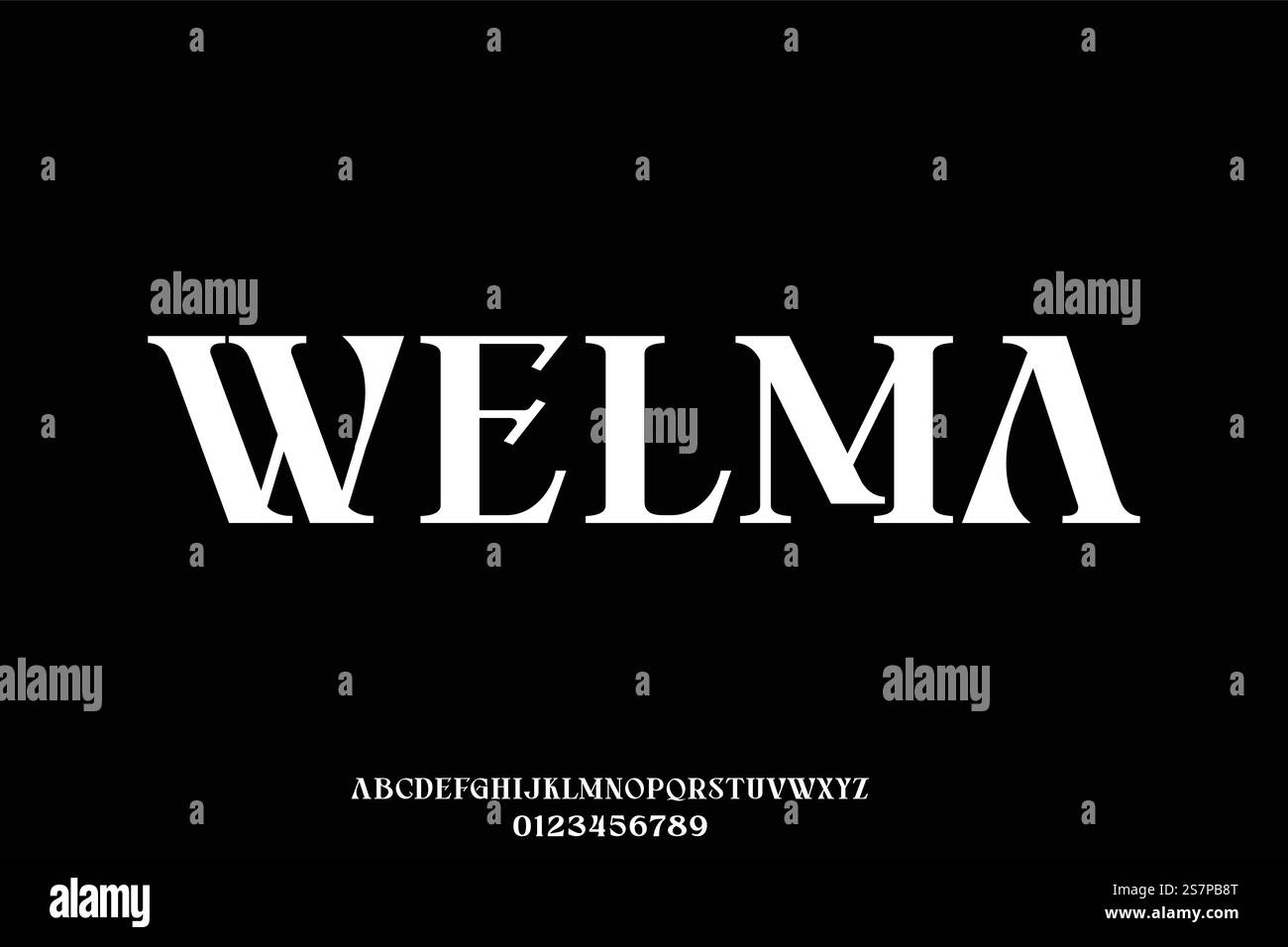 Unique decorative serif style display font vector Stock Vector Image ...