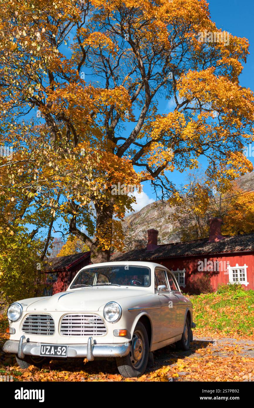 Old Swedish classic car Volvo Amazon on a beautiful autumn day in ...