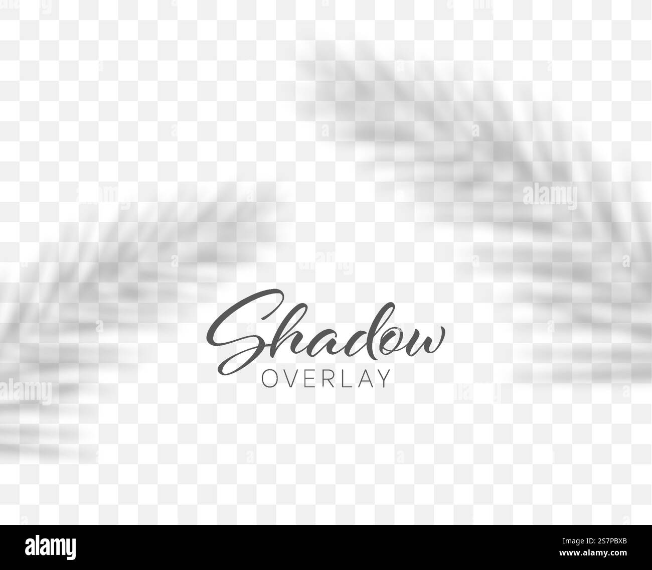 Palm leaf shadow. Vector shadow overlay effect. Vector illustration ...
