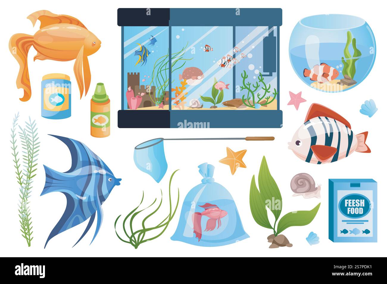 Aquarium bundle exotic fishes hi-res stock photography and images - Alamy