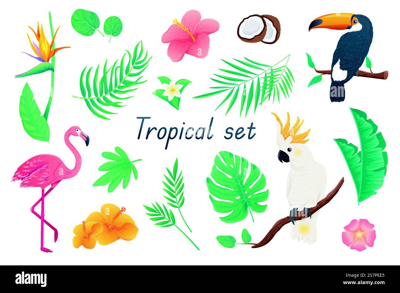 Tropical 3d realistic set. Bundle of colorful flowers and palms or ...