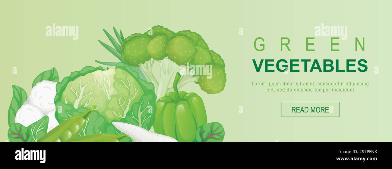 Green vegetables horizontal web banner. Cabbage, peas, broccoli, bell ...