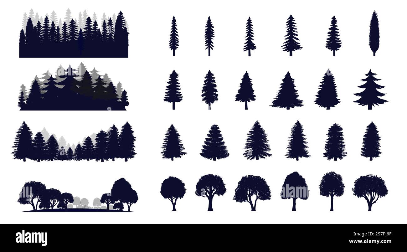 Pine tree alpine forest Cut Out Stock Images & Pictures - Alamy