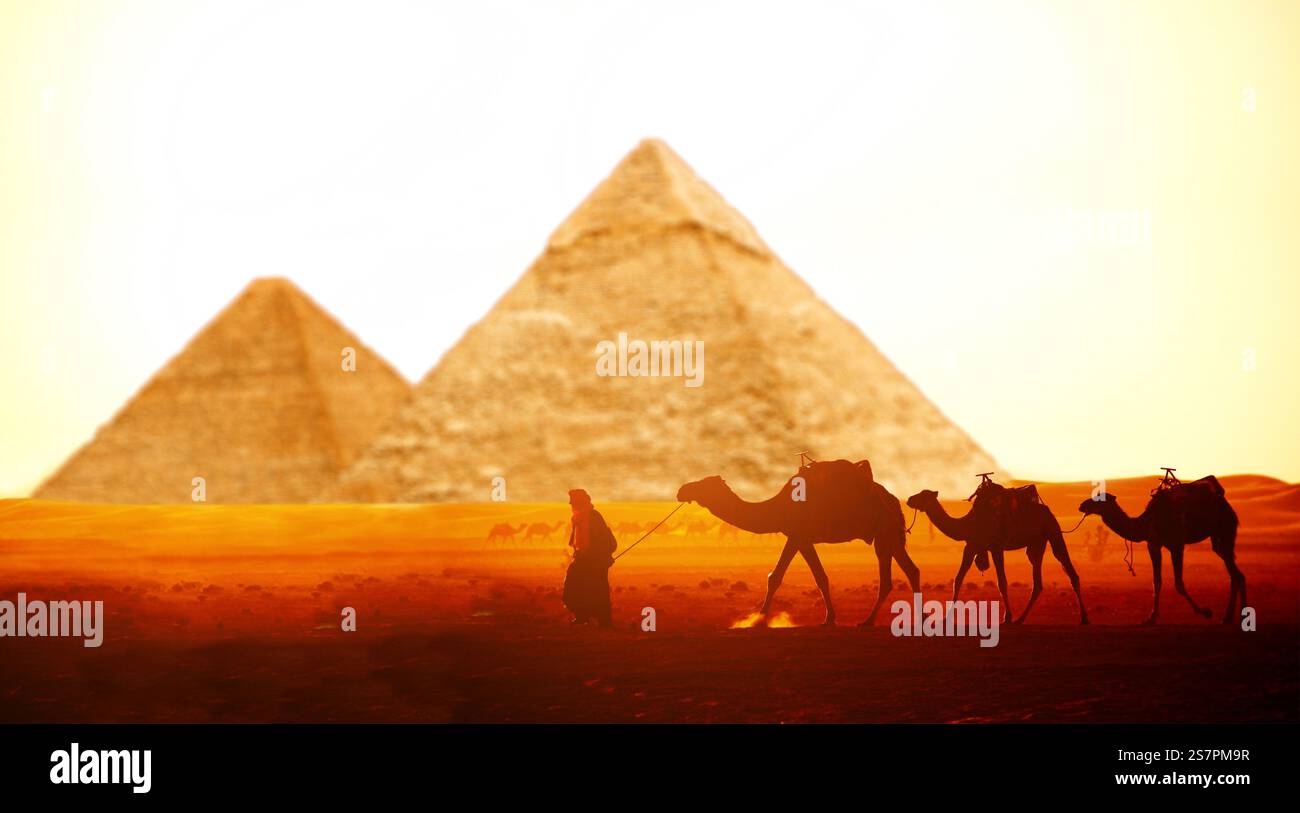 Horizontal banner with caravan of camels and Great Pyramids of Chephren and Cheops, Cairo, Egypt ...
