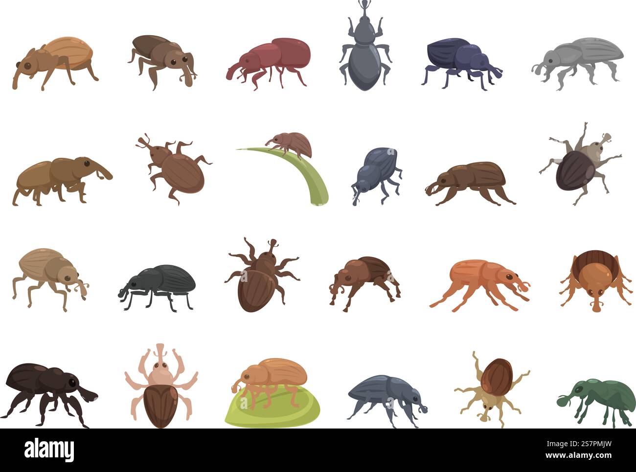 Weevil icons set cartoon vector. Insect pest. Asian forest. Weevil ...