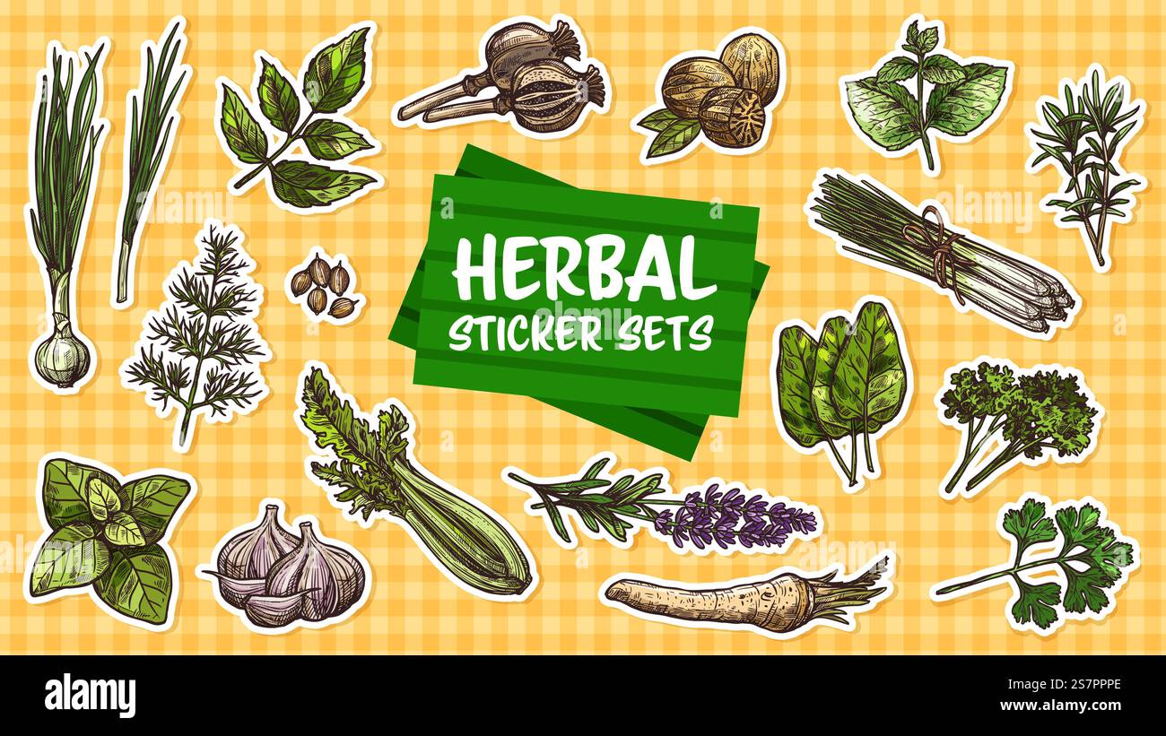 Stickers pack of spices and seasoning herbs sketches. Vector hand drawn ...