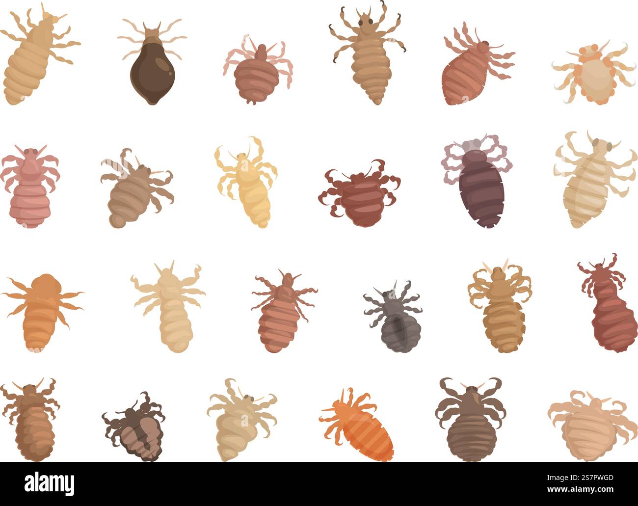 Lice icons set cartoon vector. Nature parasite. Insect head. Lice icons ...