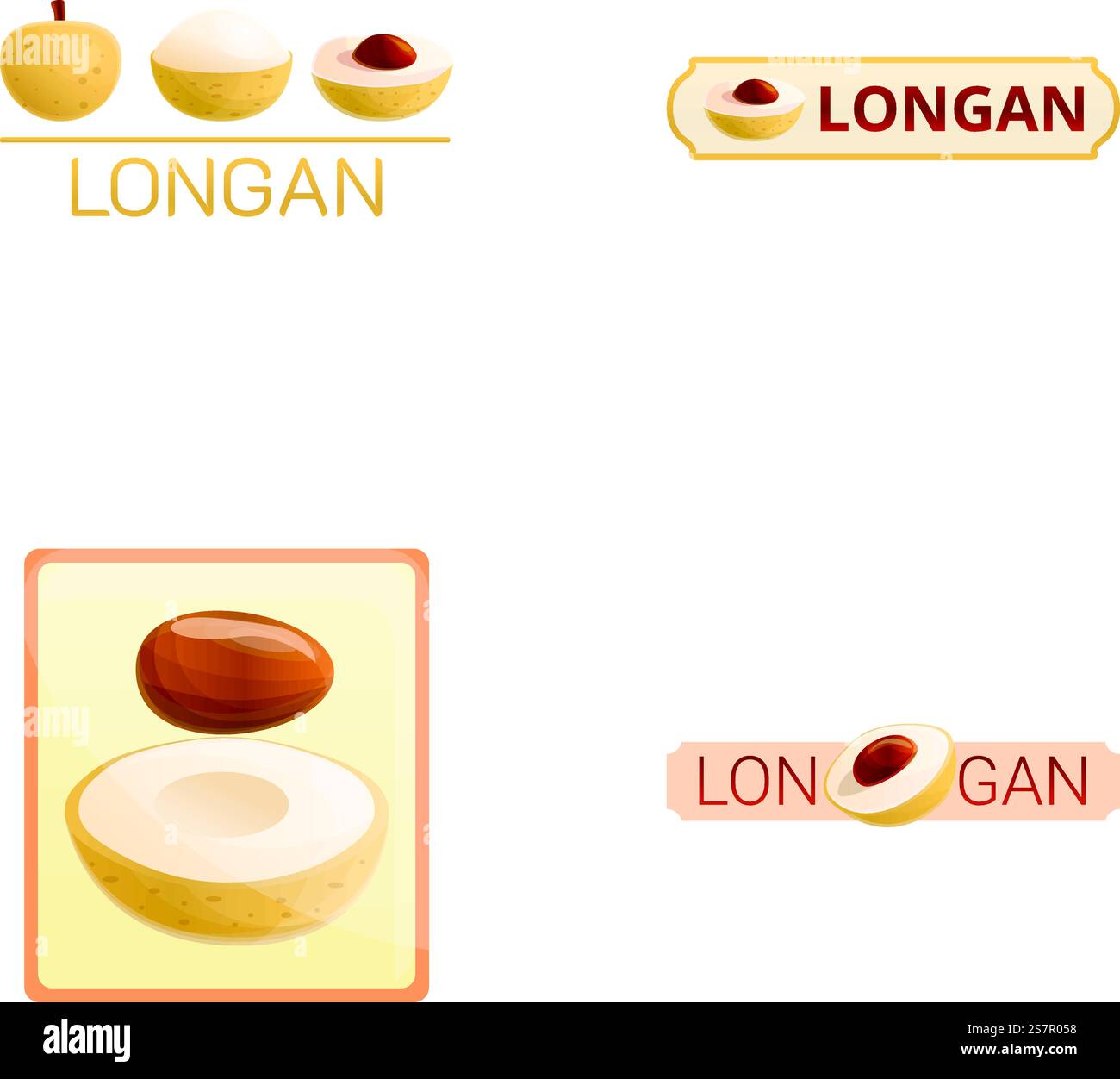 Fresh longan icons set cartoon vector. Tropical fruit. Exotic product ...