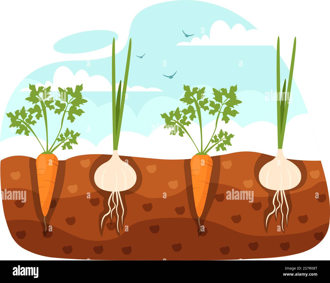 Growing Vegetables Vector Illustration with Harvest, Farming Various ...