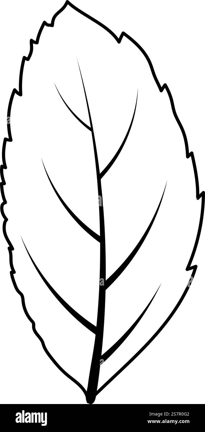 Autumn ash-tree leaf. Autumn ash-tree leaf in doodle sketch style ...