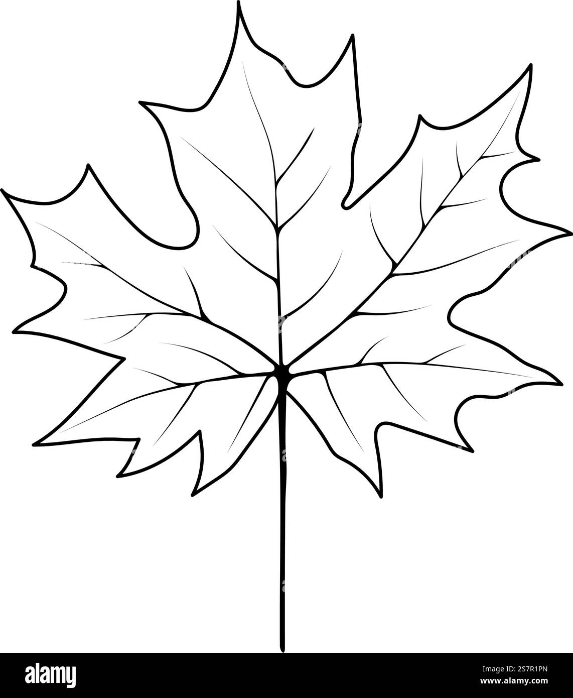 Autumn maple leaf. Autumn leaf fall. Vector illustration Stock Vector ...