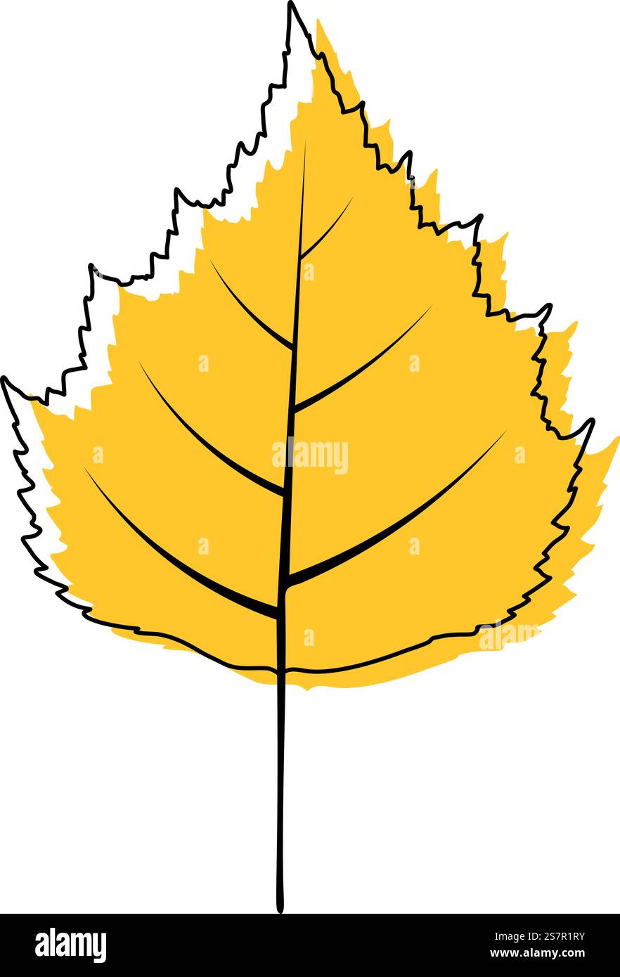 Autumn birch tree leaf. Autumn leaf fall. Vector illustration Stock ...