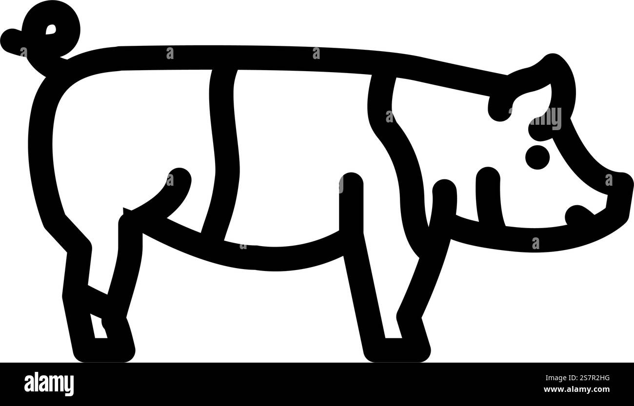 hampshire pig breed line icon vector. hampshire pig breed sign ...