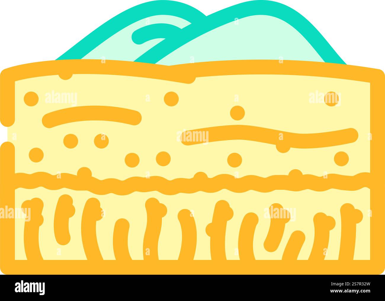 field barley yellow color icon vector. field barley yellow sign ...