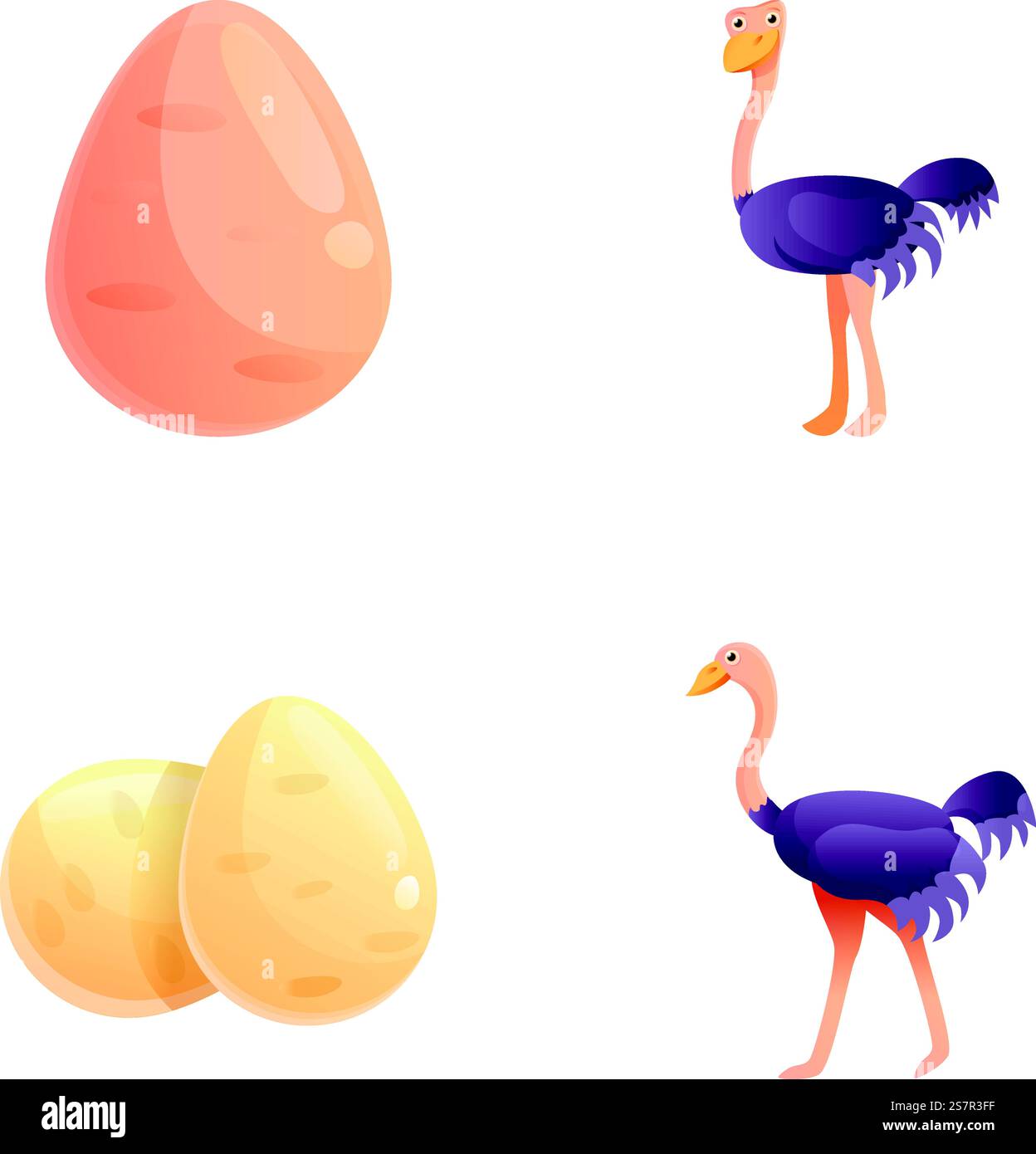 Ostrich icons set cartoon vector. Ostrich bird and big egg. Fauna ...