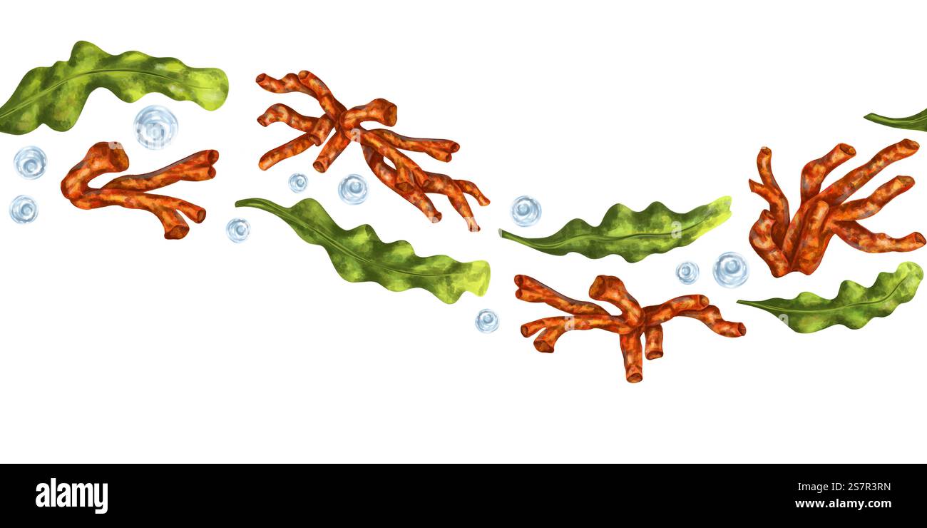 Tropical plant green algae, sea coral. Underwater ocean world, exotic ...