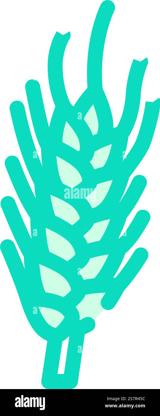 green barley plant color icon vector. green barley plant sign. isolated ...