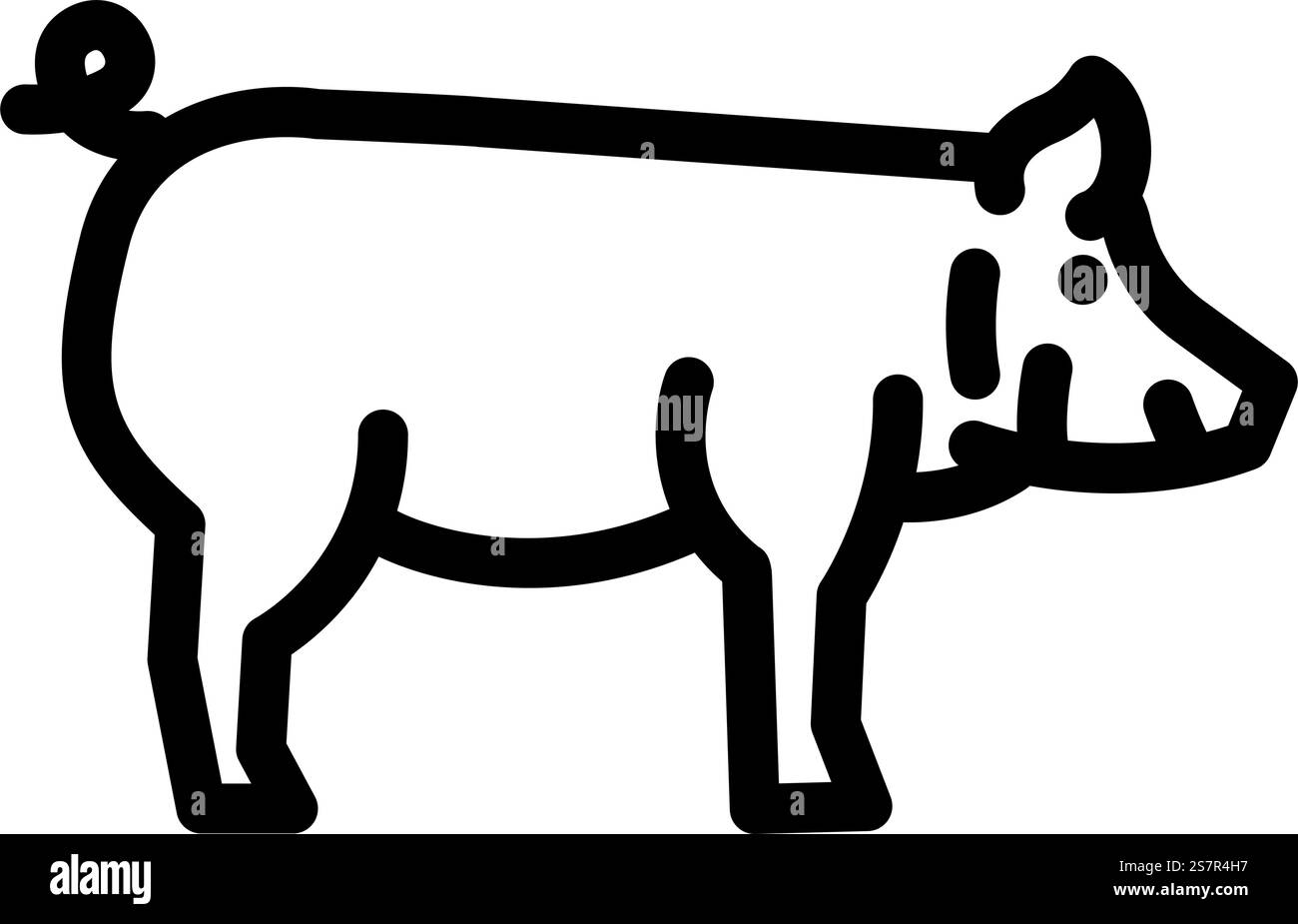 yorkshire pig breed line icon vector. yorkshire pig breed sign ...