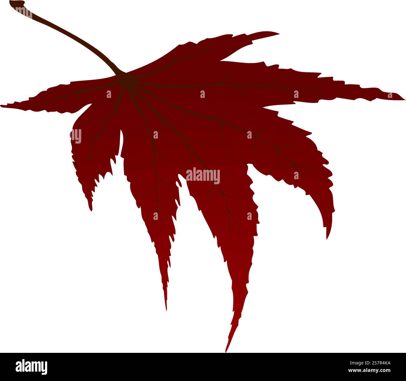Maple autumn leaf. Element for making fall season designs. Vector ...