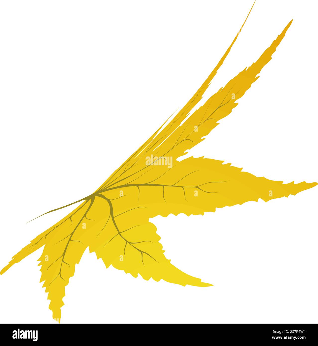 Maple autumn leaf. Element for making fall season designs. Vector ...