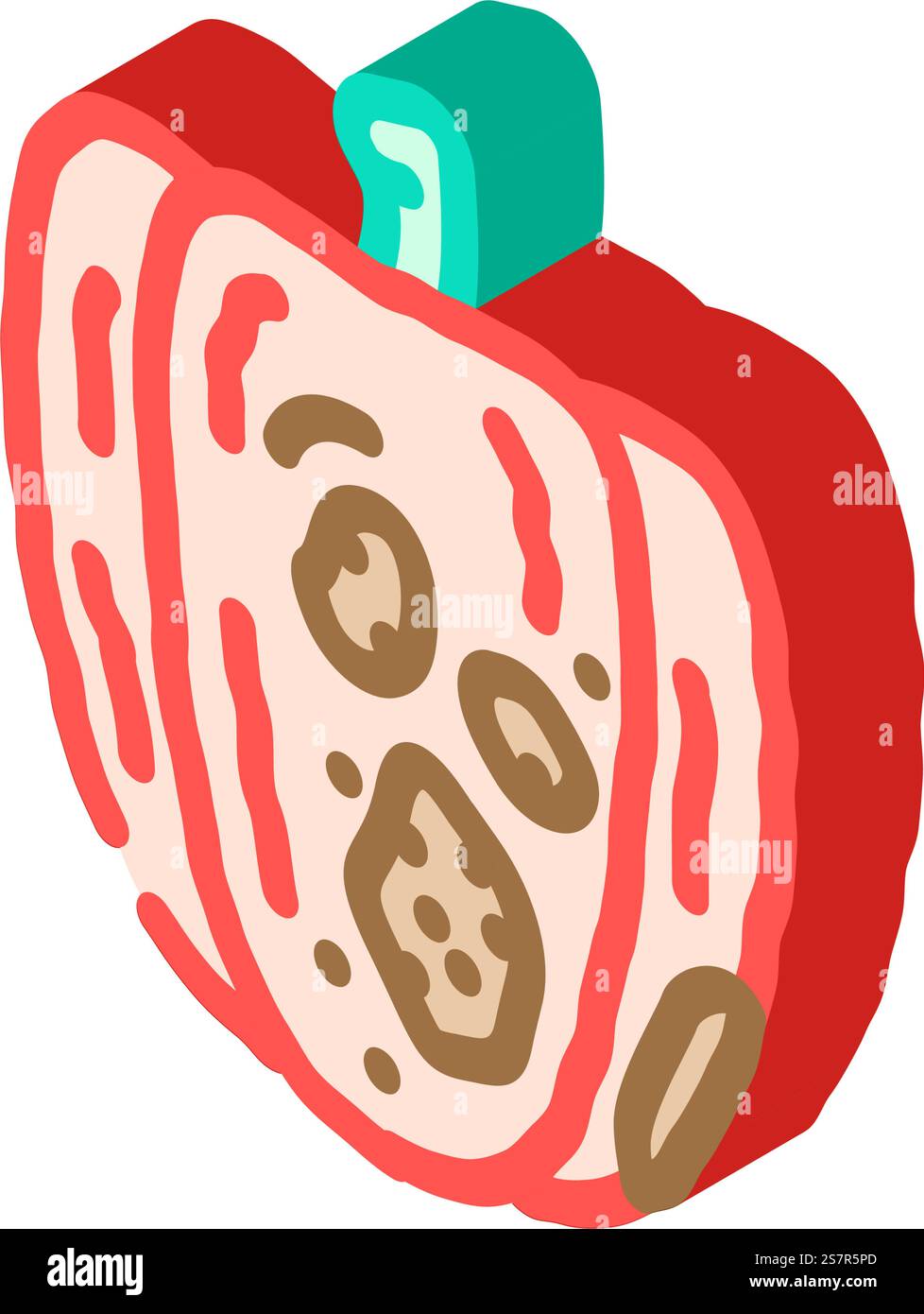 bell pepper rotten isometric icon vector. bell pepper rotten sign ...