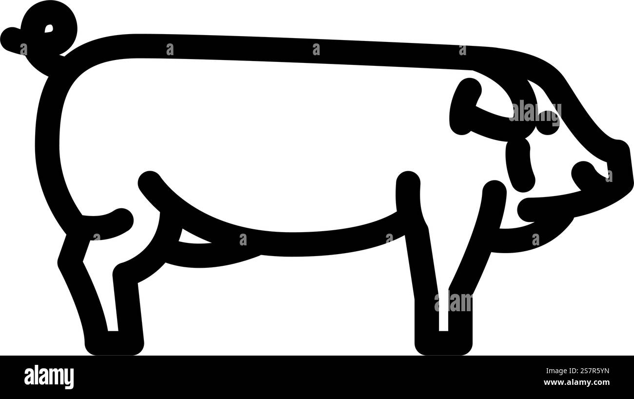 landrace pig breed line icon vector. landrace pig breed sign. isolated ...