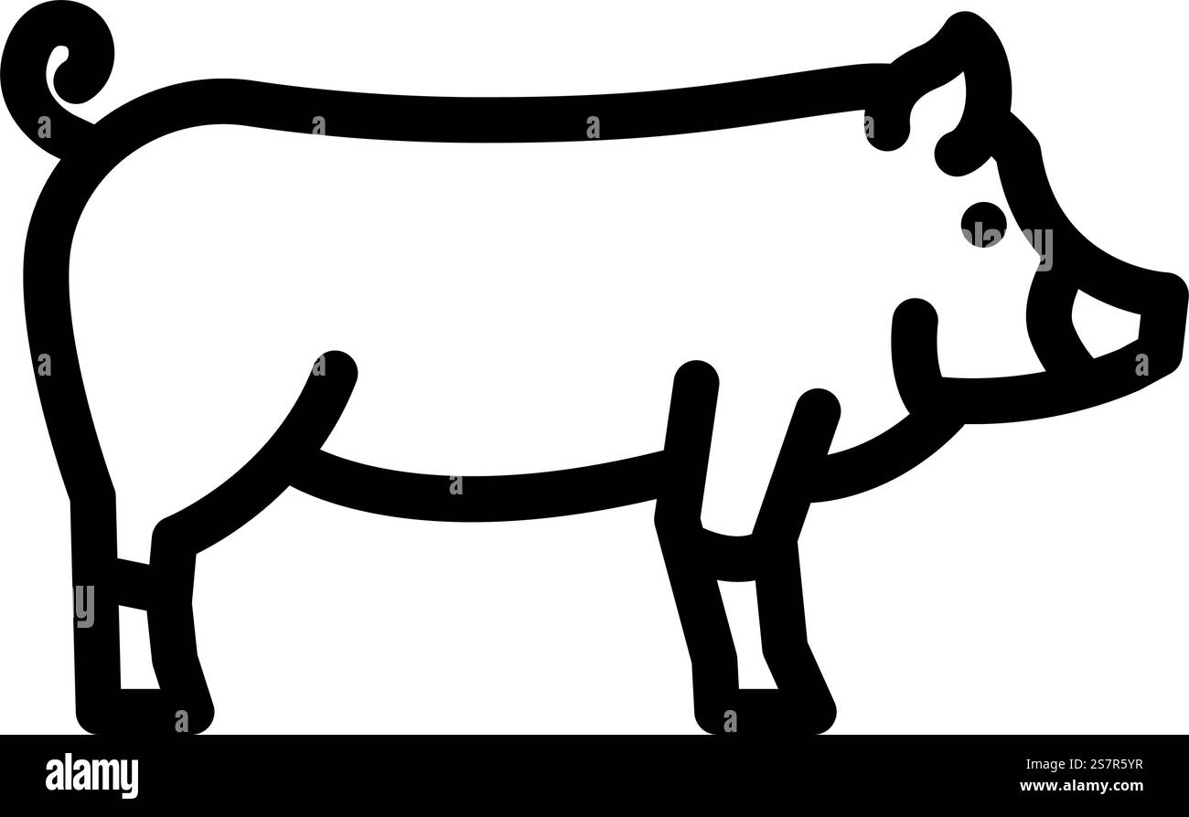 berkshire pig breed line icon vector. berkshire pig breed sign ...