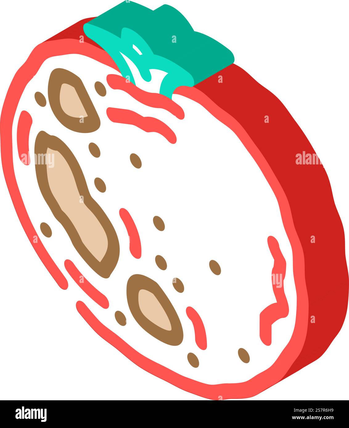 tomato rotten food isometric icon vector. tomato rotten food sign ...