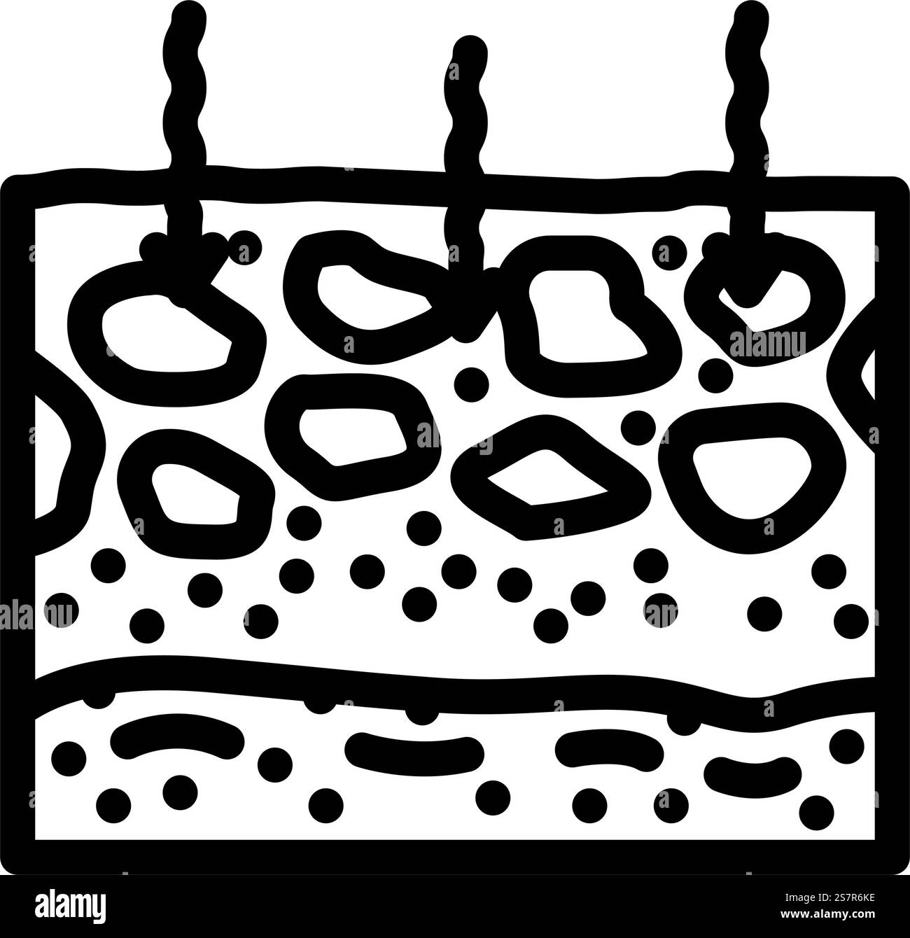 soil permeability hydrogeologist line icon vector. soil permeability ...