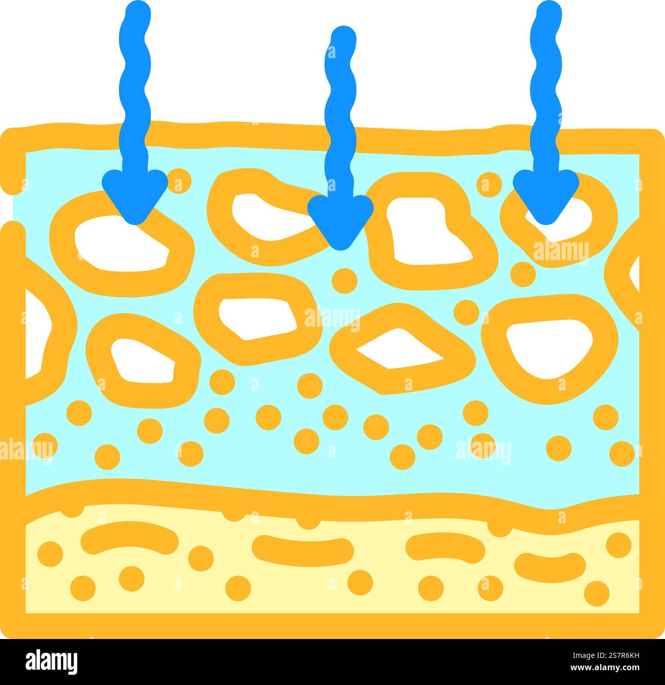soil permeability hydrogeologist color icon vector. soil permeability ...