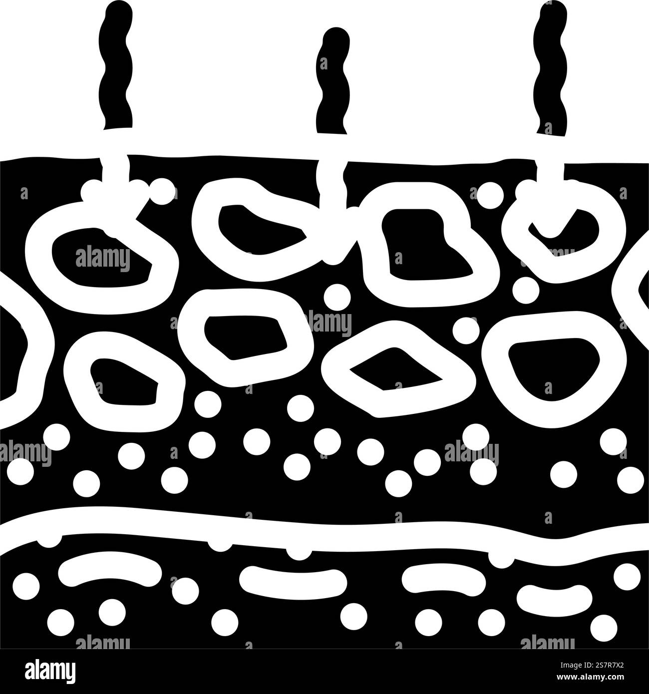 soil permeability hydrogeologist glyph icon vector. soil permeability ...