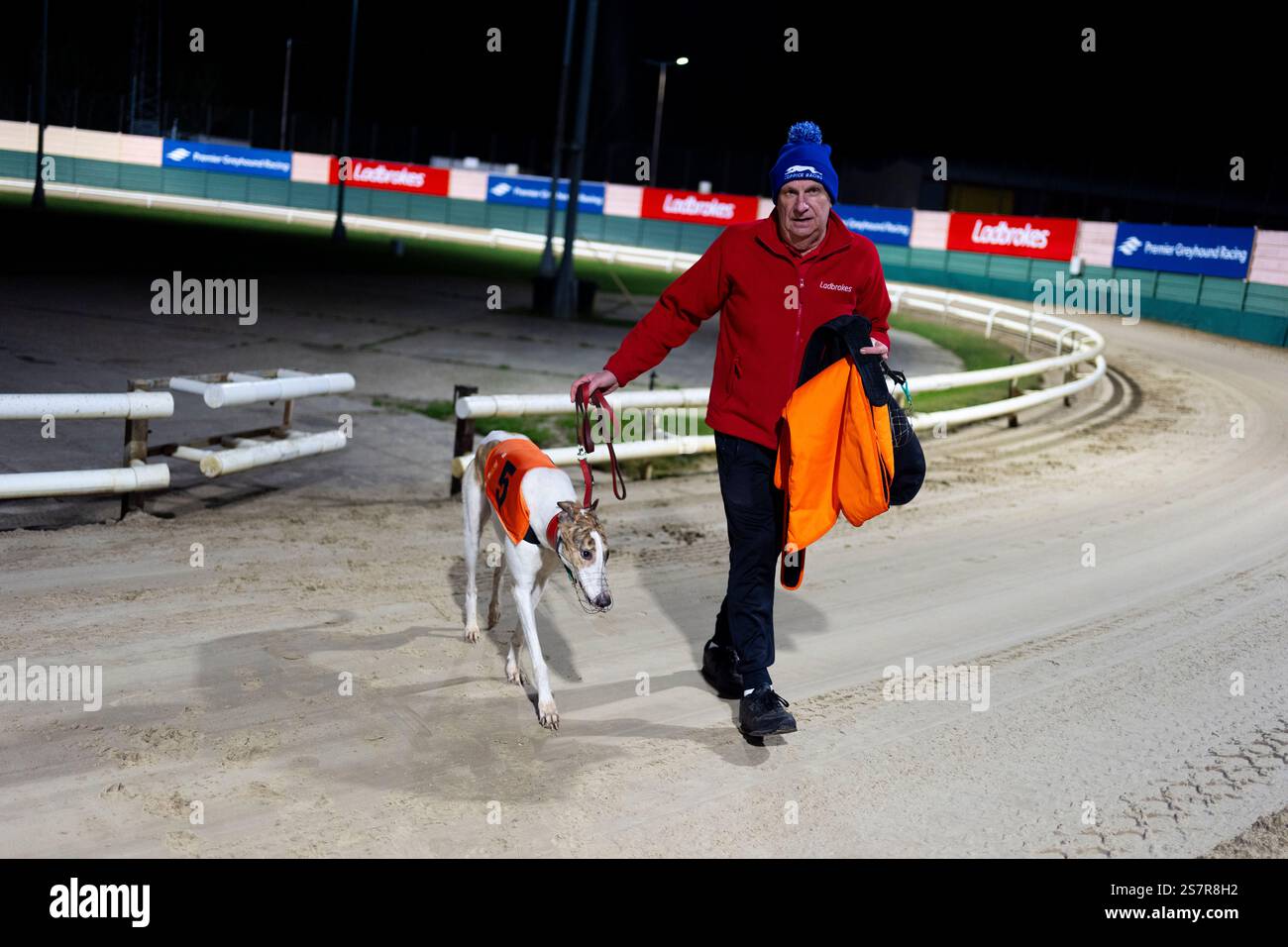 A dog handler walks a greyhound after a race during the final night of ...