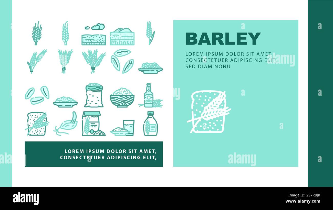 barley grain wheat landing web page vector. rye cereal, ear plant ...