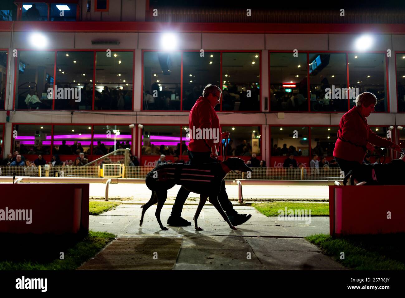 Dog handlers parade greyhounds during the final night of racing at ...
