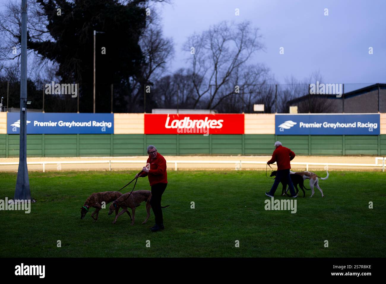 Dog handlers walk the dogs around the stadium ahead of the final night ...