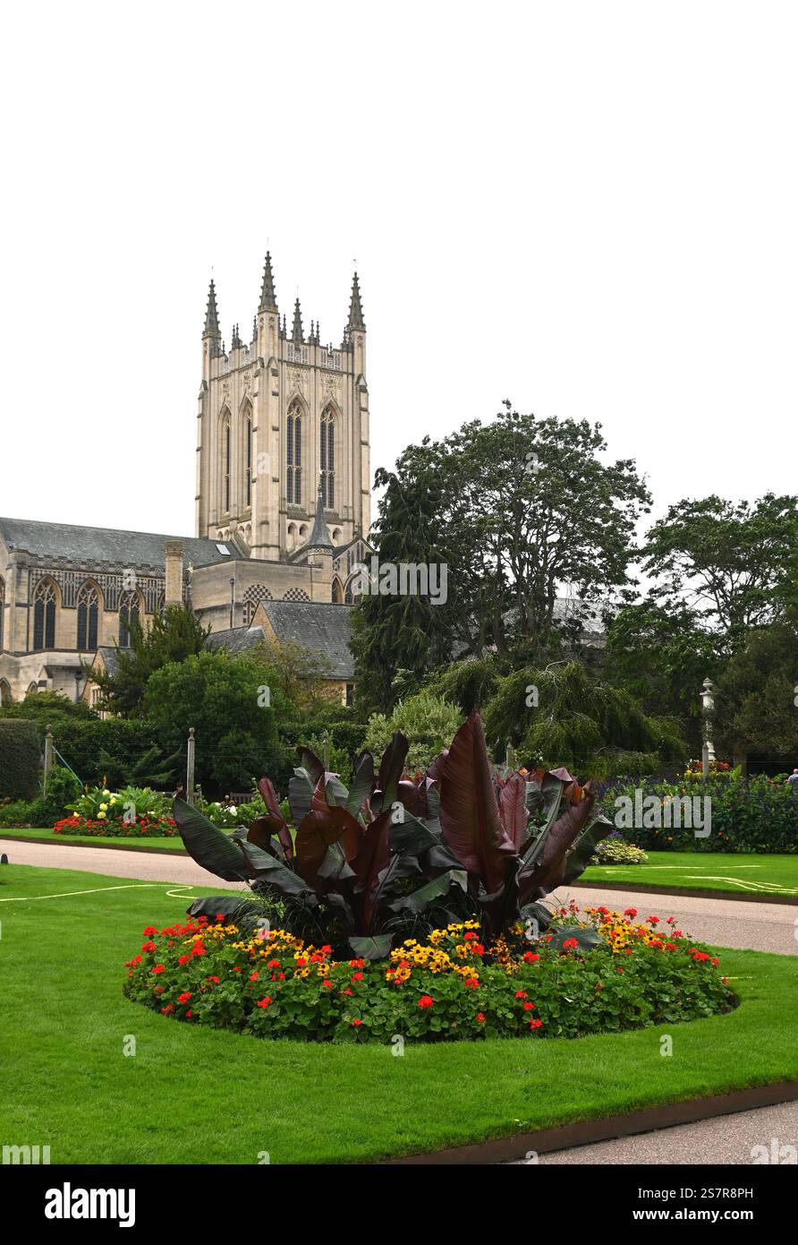 flower beds, abbey gardens, bury st edmunds Stock Photo - Alamy
