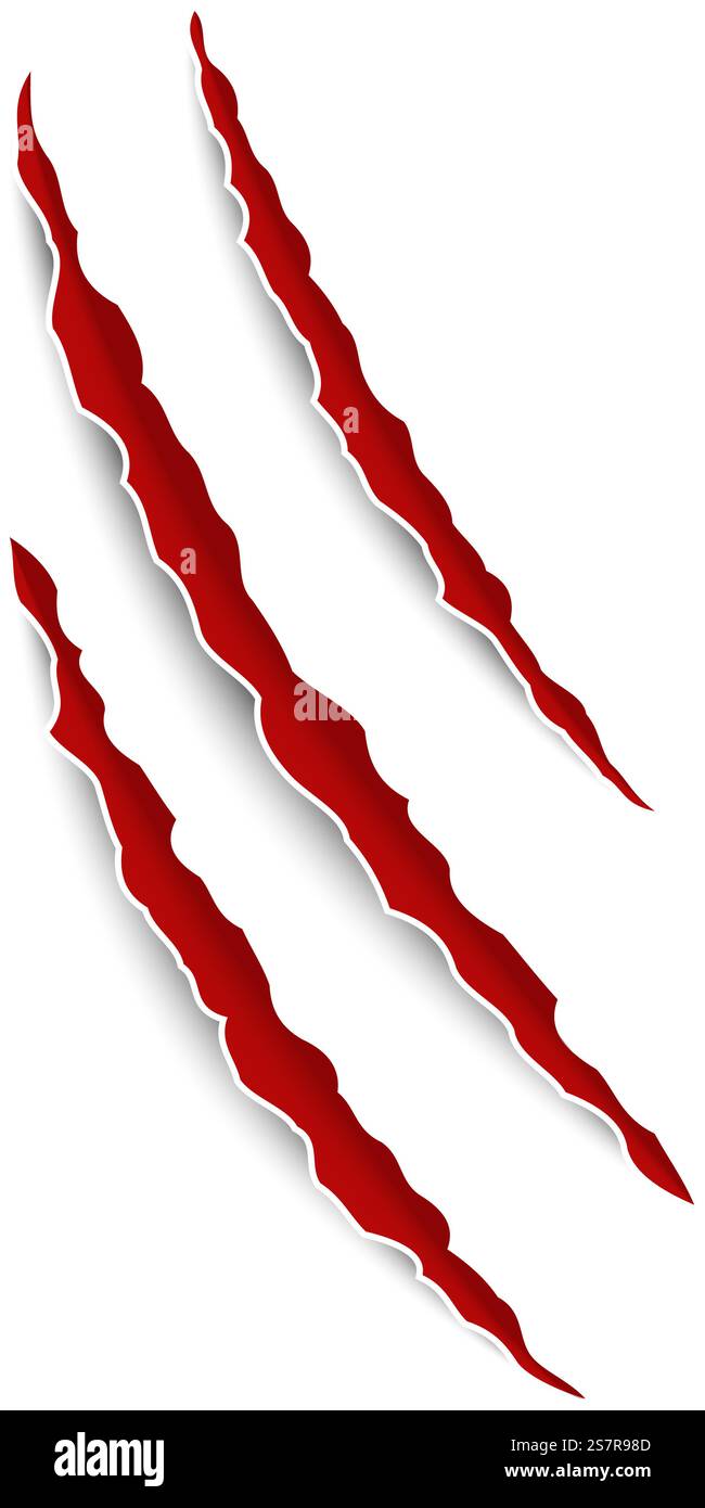 Claw animal tracks. Three claws scratches. Cat or tiger nails, bear or ...