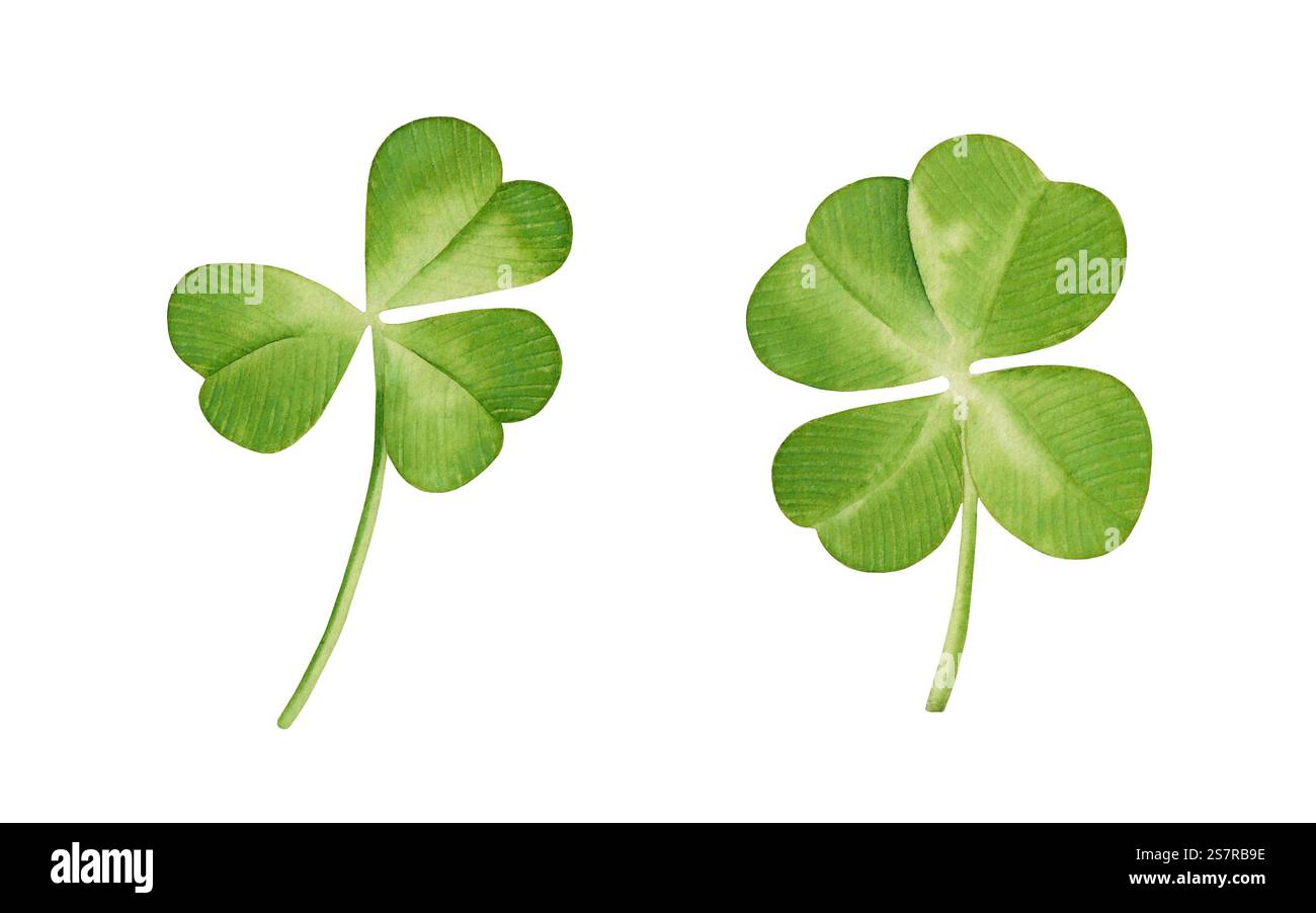 Set of clover leaves with 3, 4 four leaf. Watercolor hand drawn ...