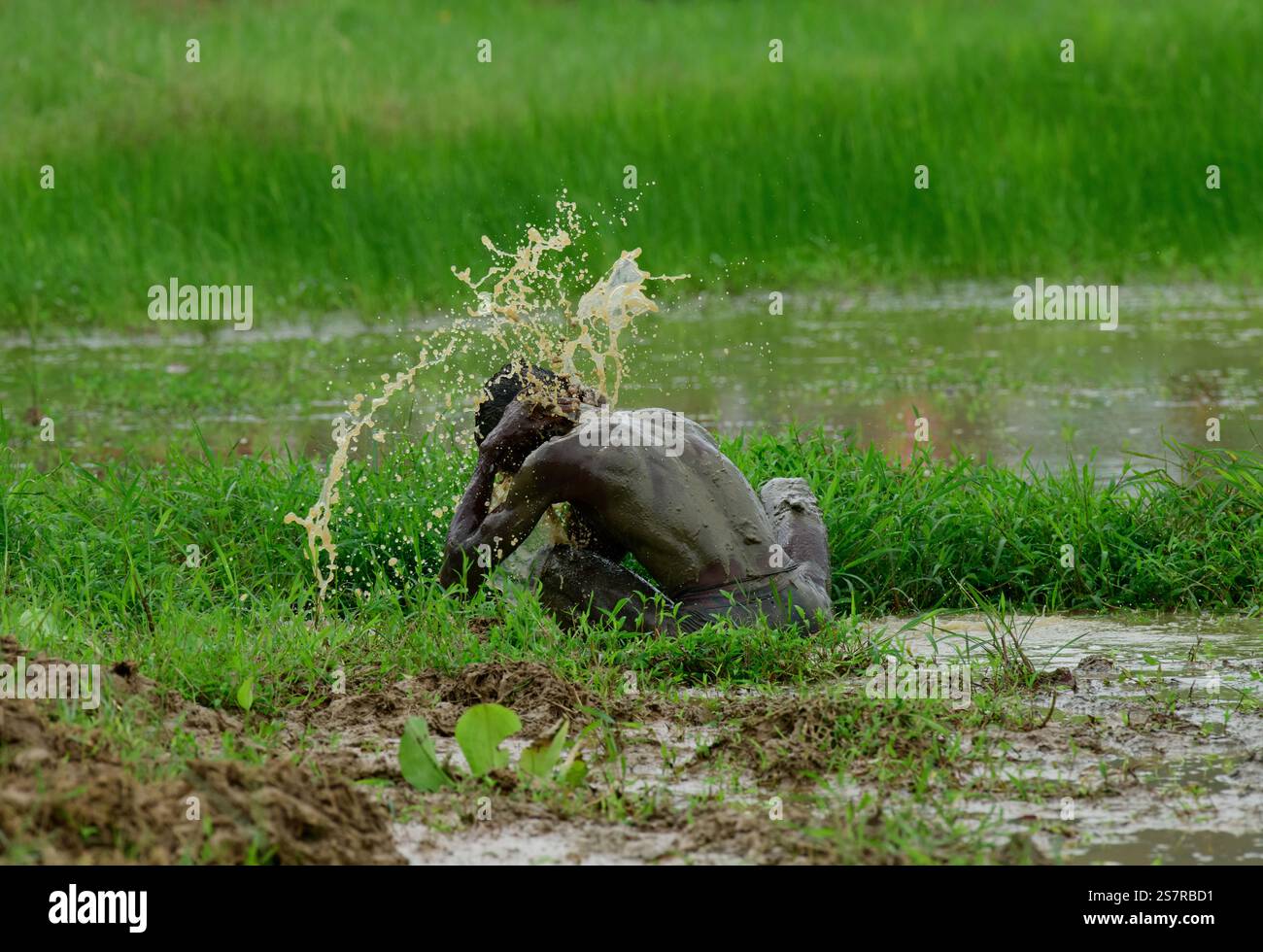 Man washing mud in muddy water, Maramadi Mahotsavam: A Thrilling ...