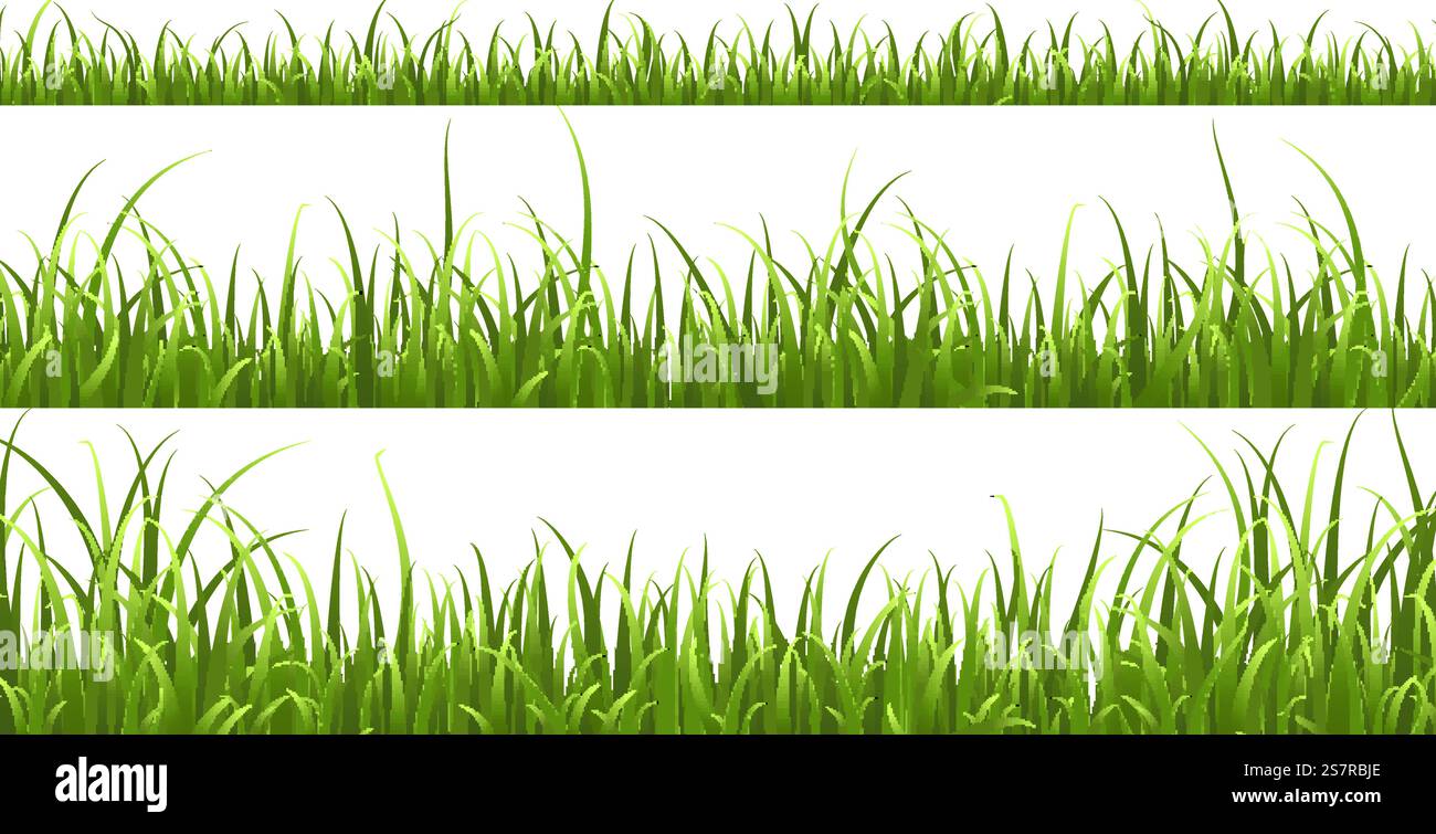 Green grass horizontal borders lawn shape meadow landscape collection ...