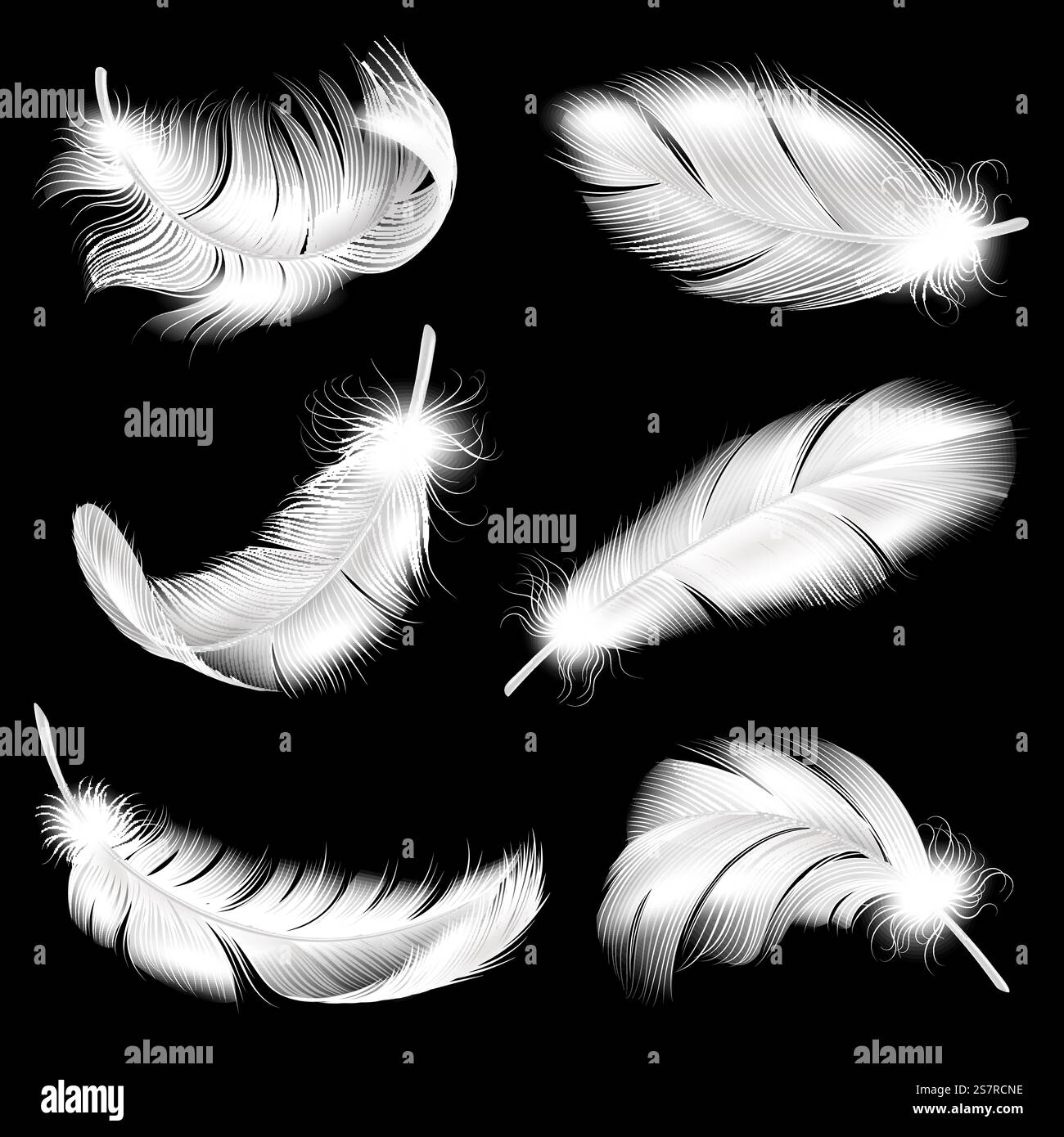 White feathers realistic set. Falling fluffy twirled bird plume in ...