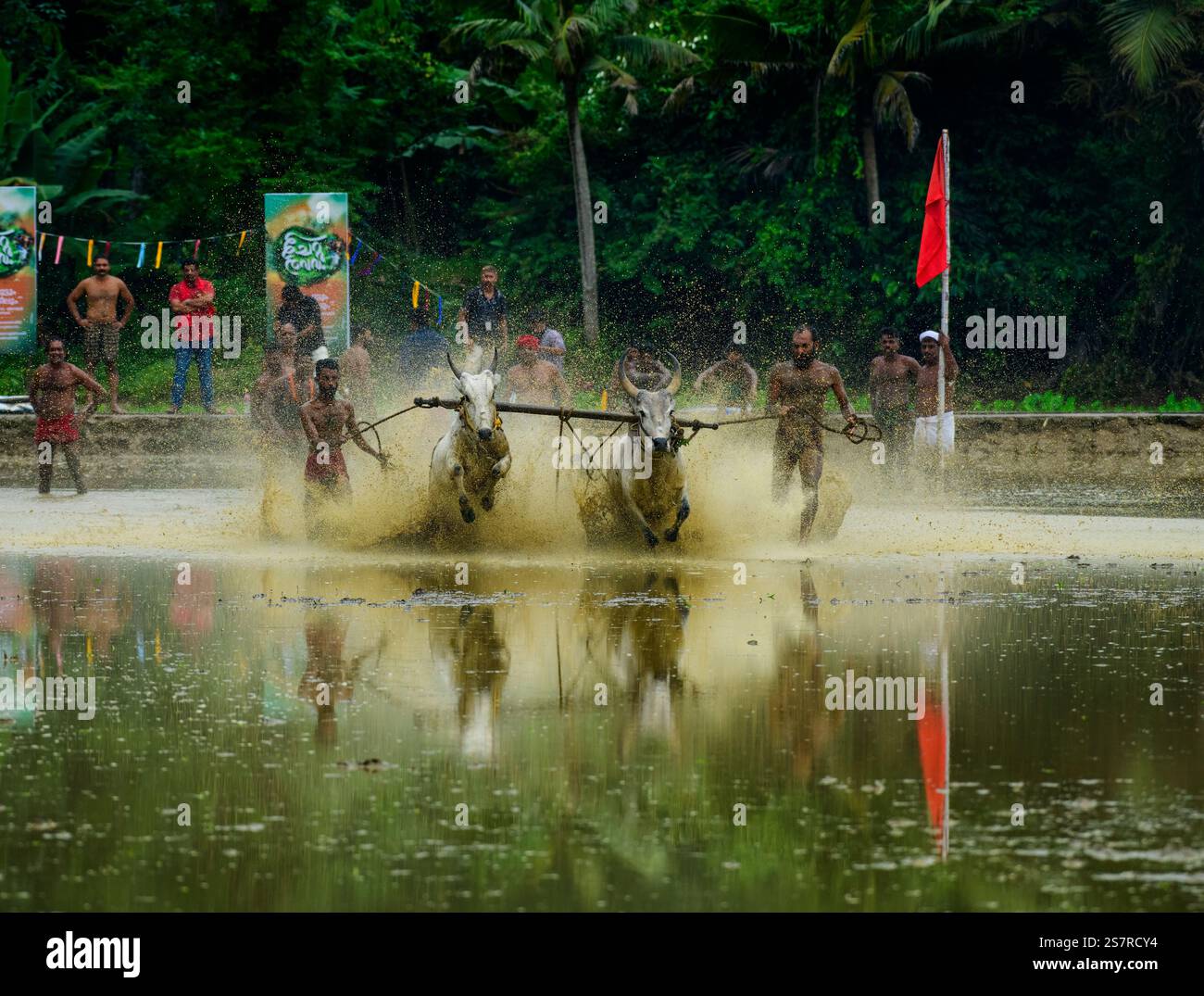 Maramadi Mahotsavam: A Thrilling Celebration of Kerala's Rural Heritage ...