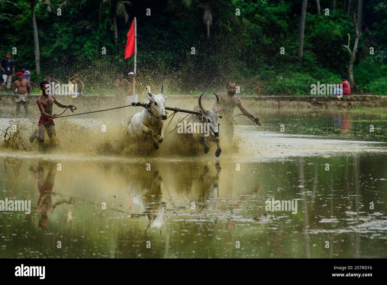 Maramadi Mahotsavam: A Thrilling Celebration of Kerala's Rural Heritage ...