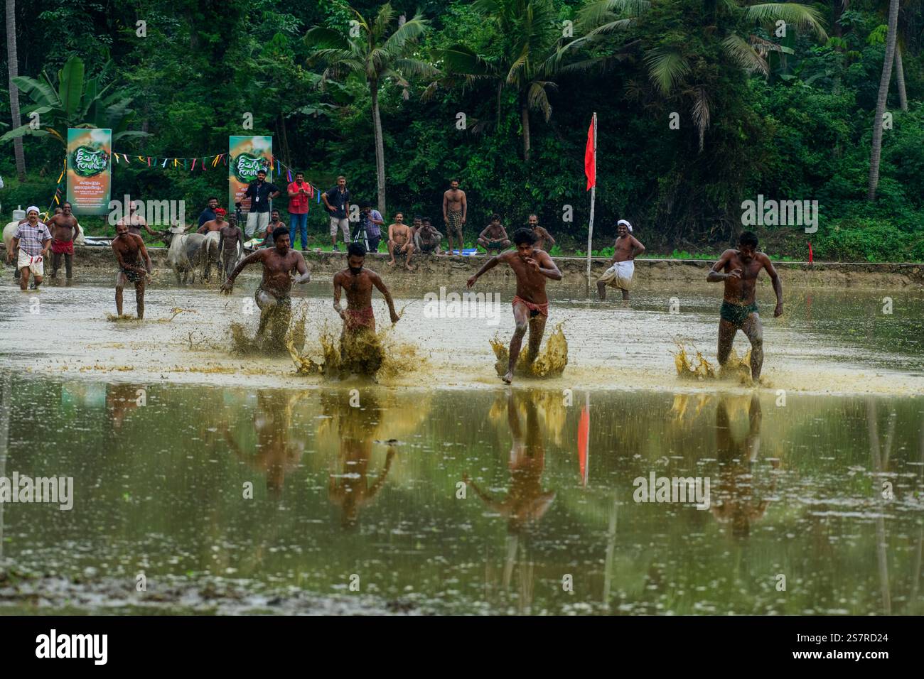 Maramadi Mahotsavam: A Thrilling Celebration of Kerala's Rural Heritage ...